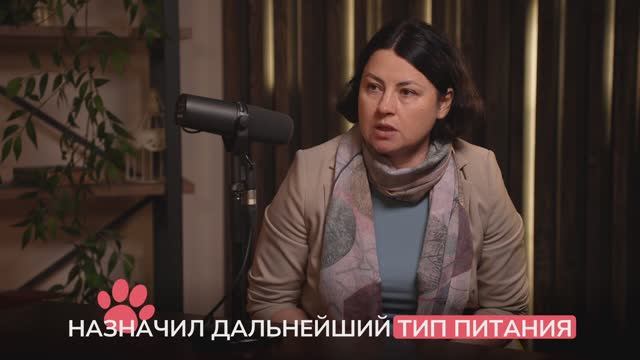 Секреты питания котят и щенков: как выбрать правильный рацион? | Подкаст Апиценна #4