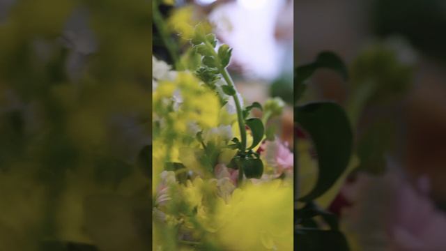 7. Композиция в радиальной технике