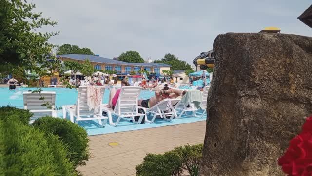 Море ,цветы, аттракционы