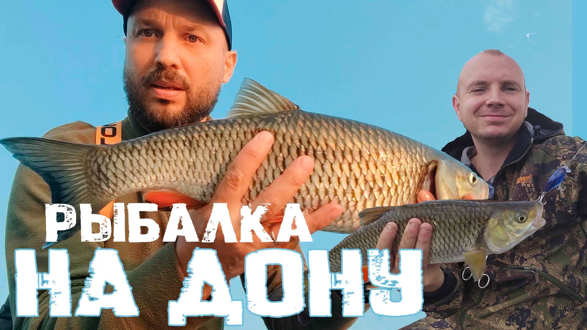 Рыбалка на ДОНУ 2025