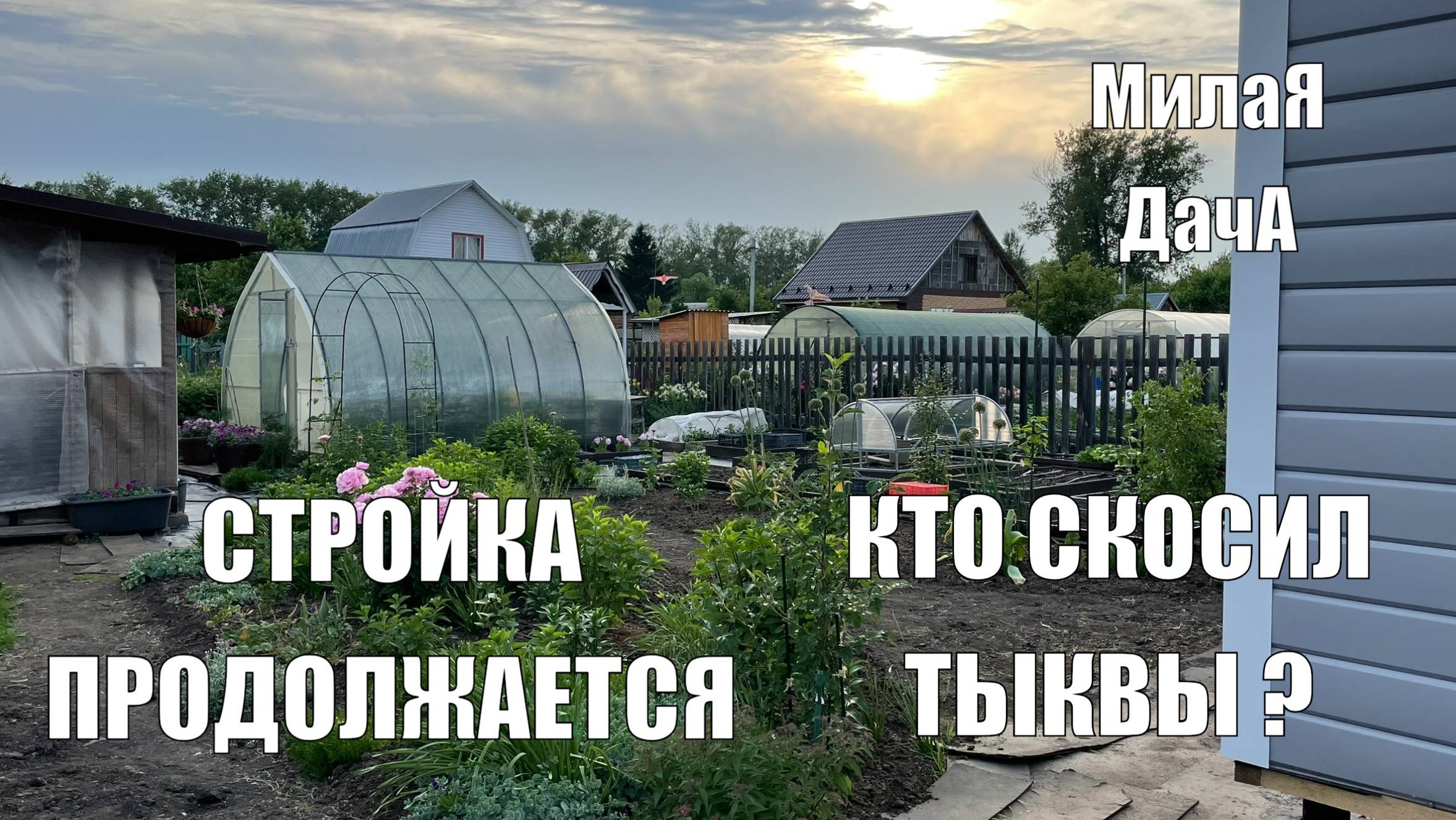 Кто скосил тыквы?! | Собираем парник-хлебницу | Дачный влог 12-13 июня