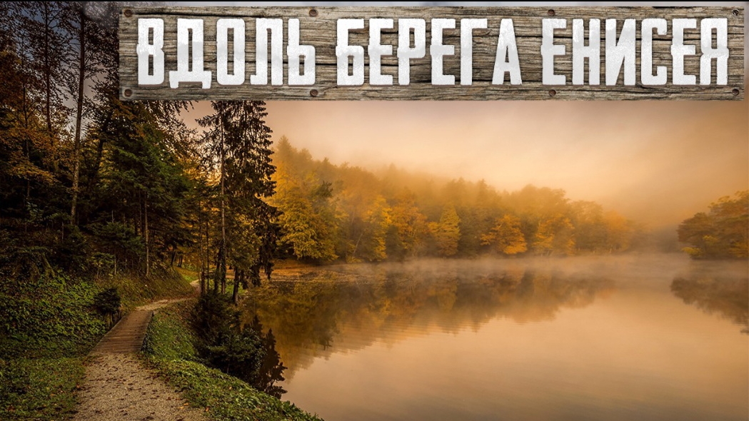 Поход с собаками