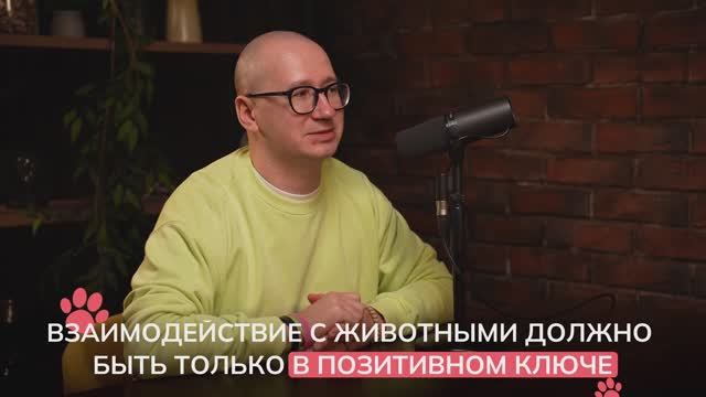 Тревожность у питомцев: как помочь адаптироваться? | Подкаст Апиценна #2