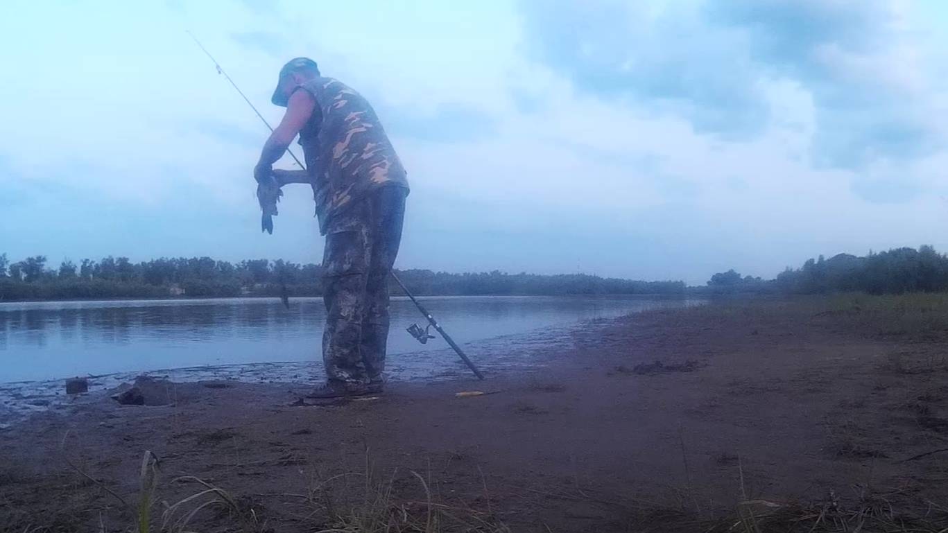 Вечерний клев карася на Ахтубе донка выручила.