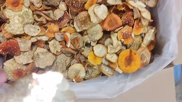 Заказал себе сразу оптом гриб мухомор красный