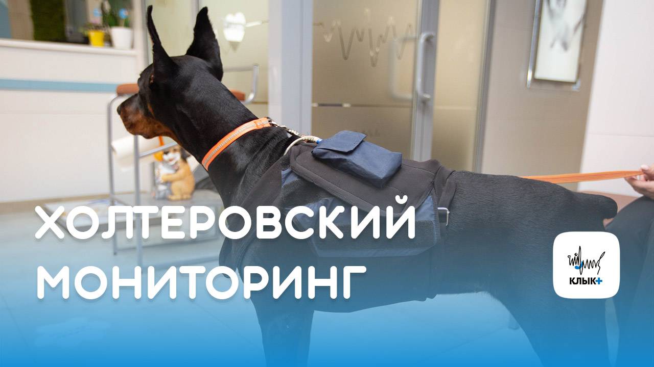 Холтеровский мониторинг