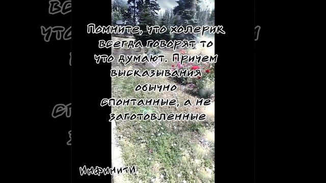 Быть холериком - тяжелый труд!