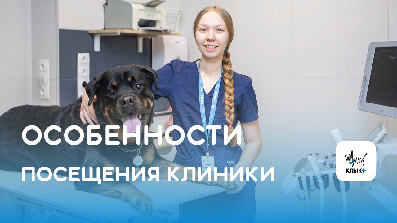 Особенности посещения нашей клиники