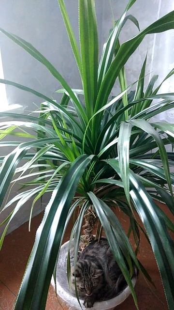 Нашла удачное место