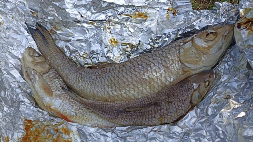 Рыбный завтрак на природе