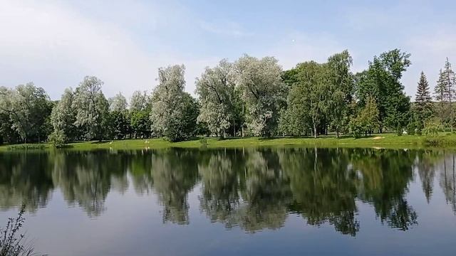 Петербург. Парк Победы.