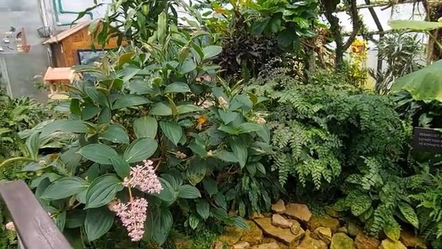 в каждом дне есть хорошее. Рената Смирнова. 2025