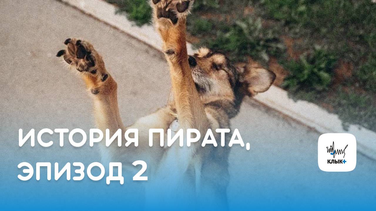 История Пирата, эпизод 2