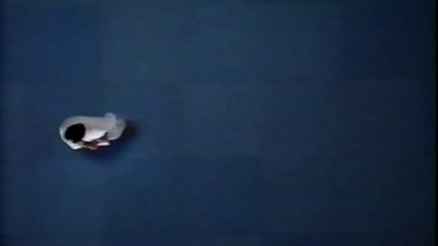 Бассайдай Вид сверху