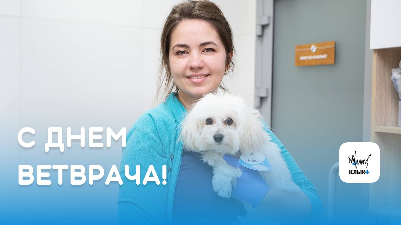День ветеринарного врача