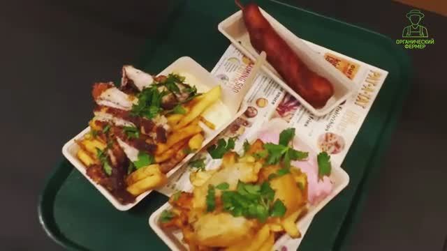 Немецкая уличная кухня. Курица с жареным картофелем ручной работы по голландски в торговом центре