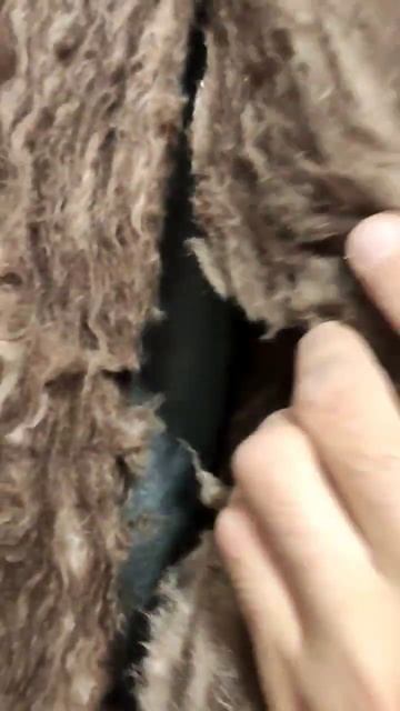 Звукоизоляция стояка канализации без замены трубы