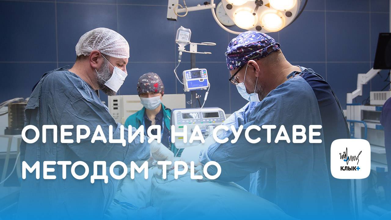 Лечение разрыва передней крестовидной связки методом TPLO