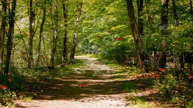 ФУТАЖ  - СКАЗОЧНО-ВОЛШЕБНЫЙ ЛЕС  - АНИМАЦИЯ