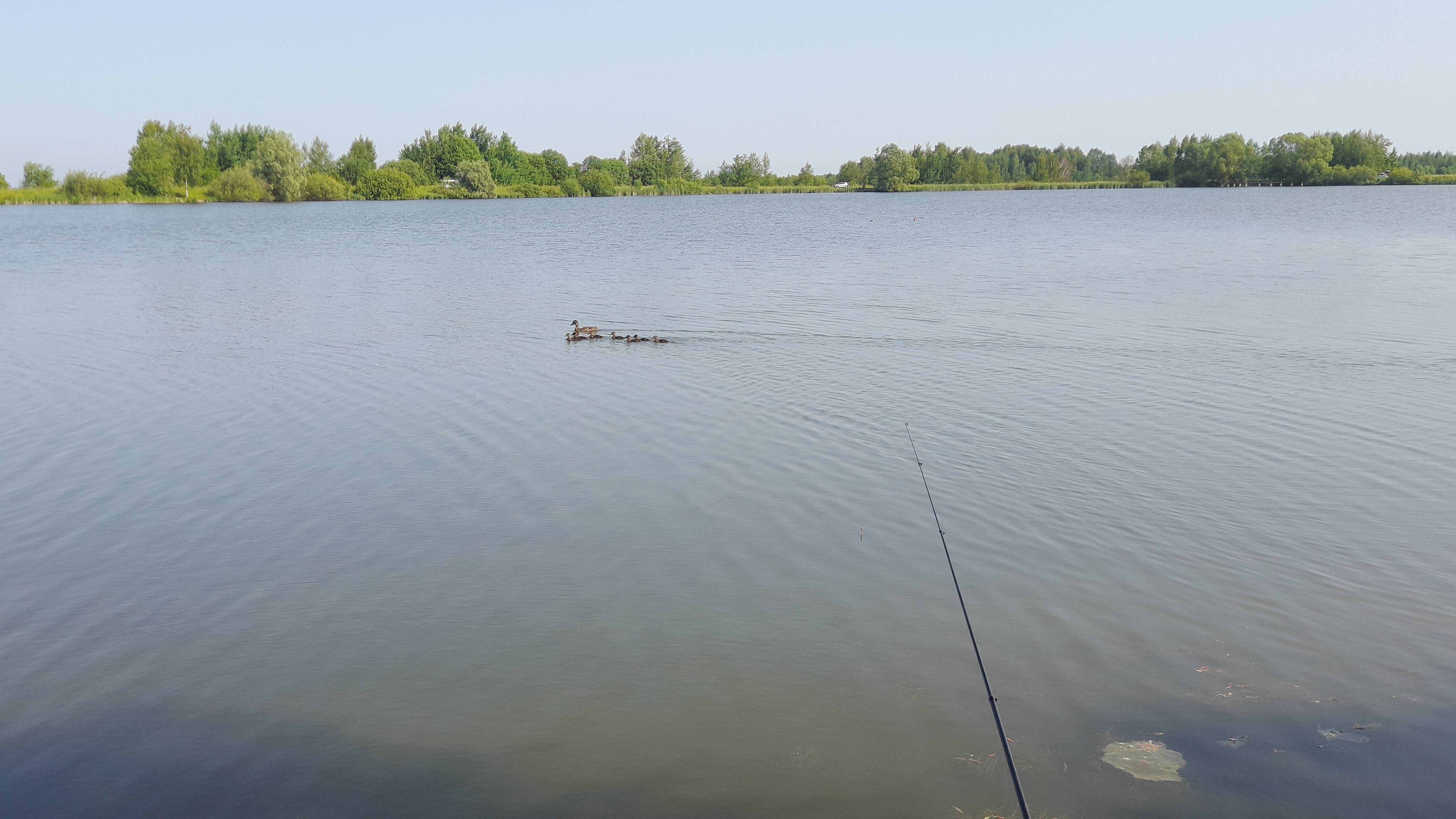 Прогулка с  металлоискателем вдоль озера