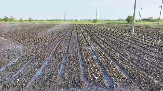 Добро пожаловать в Питомник и Садовый центр Веры Глуховой!❤️