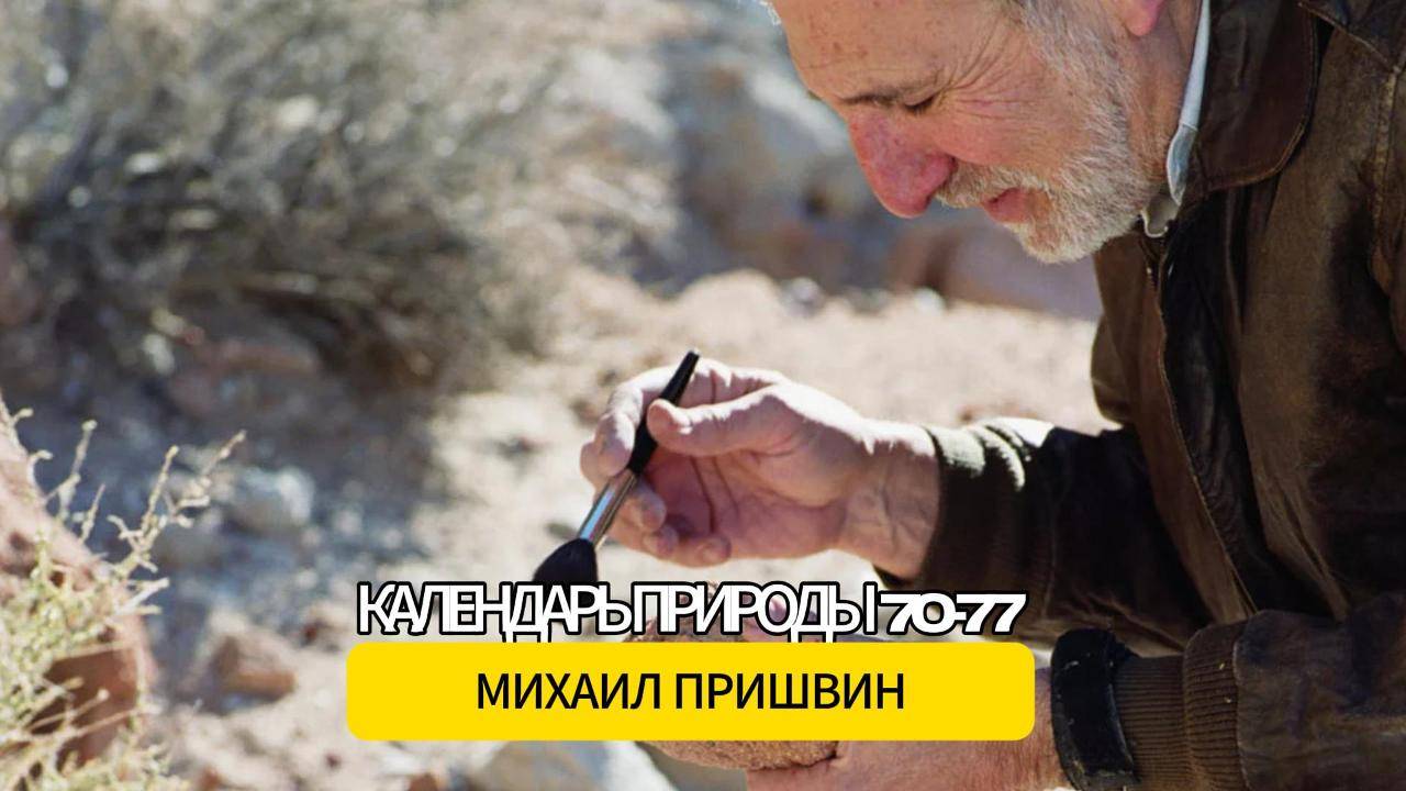 Михаил Пришвин / Календарь природы 70-77 / Аудиокнига