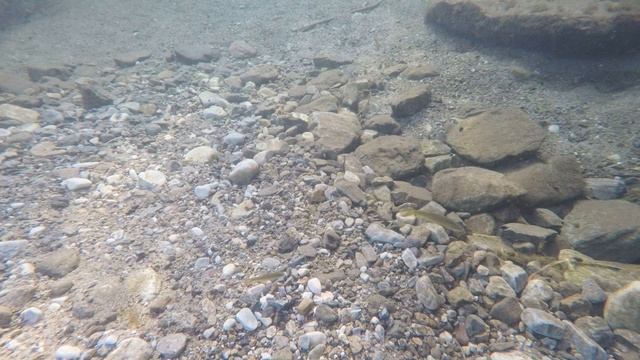 Погружение в подводный мир: звуки океана и танцующие рыбки | Релакс и гармония