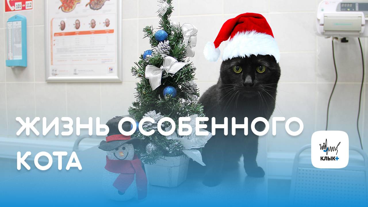 Люц празднует третий день рождения