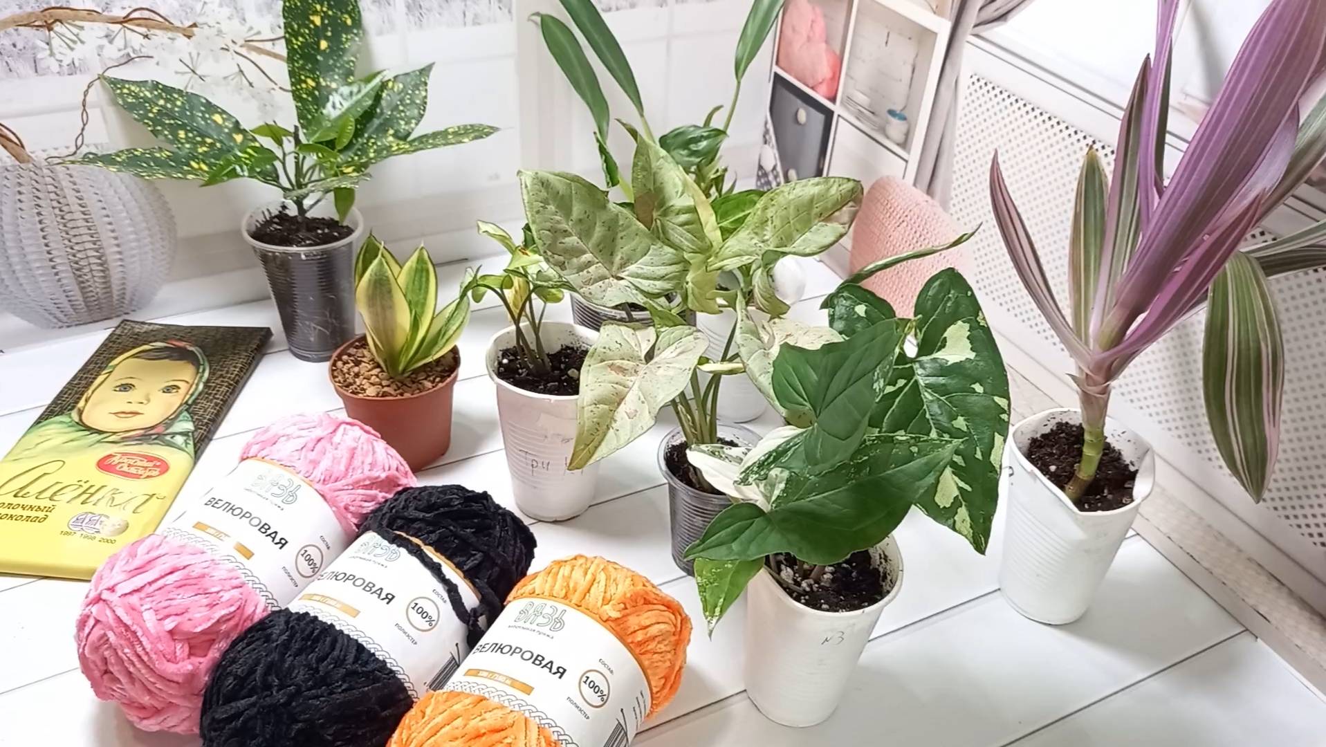 Распаковка посылки от Ирины . Пополнение зеленой коллекции🌷🌷🌷🥰