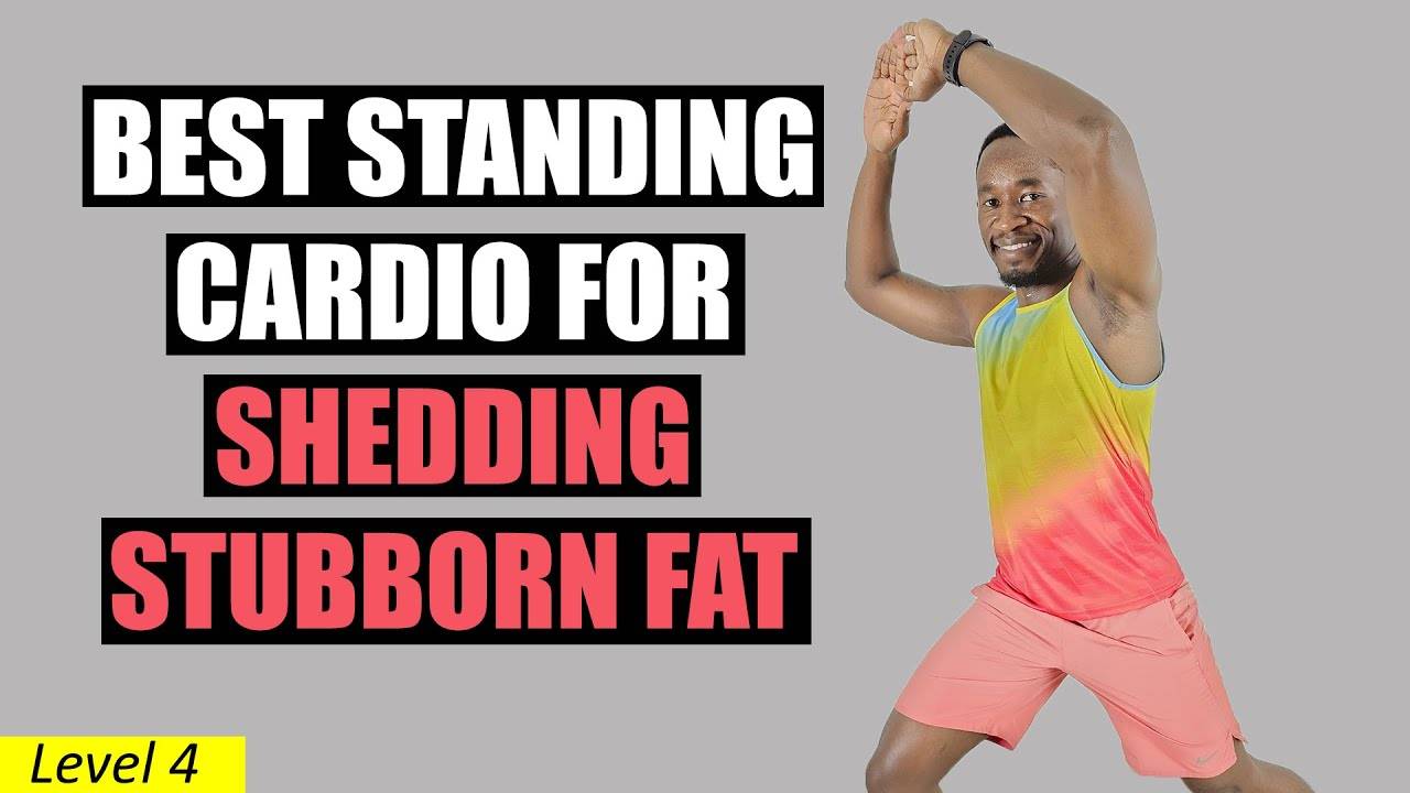 Brian Syuki - 30 Min No Jumping Cardio to Shed Stubborn Fat Fast - Full Body Fat Burn