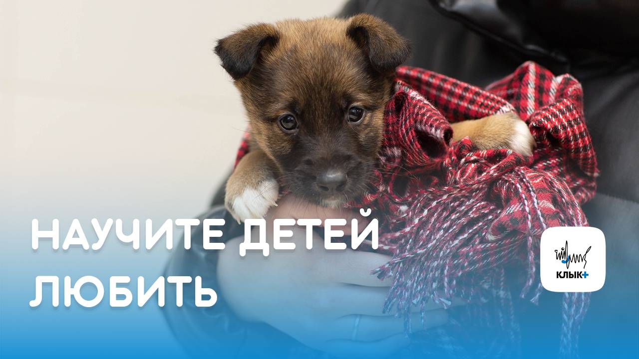 Научите детей любить