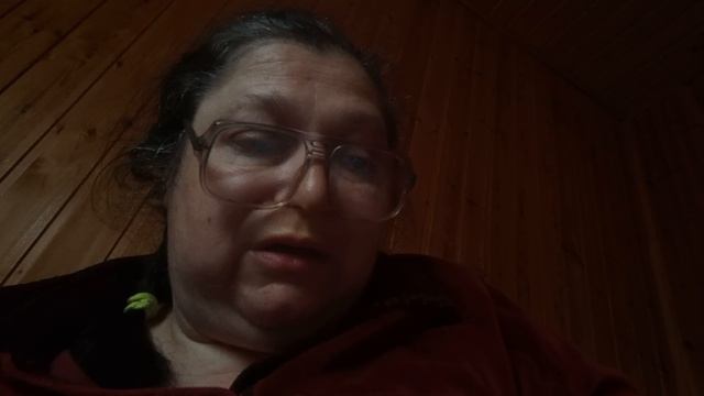 мои мысли 💭 глава 2'благовещение. посещение правильные Елисаветы. Иосиф обручник. часть 1