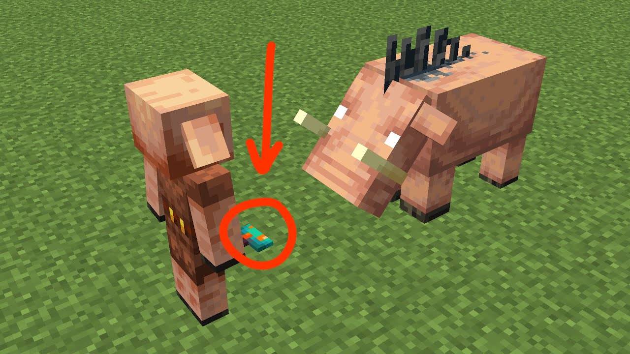 будет ли хоглин бояться пиглина с деформированным грибком