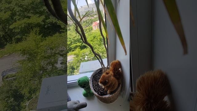 ДЭНИС И КРИПОНЯ ПОДРУЖИЛИСЬ С СОБАКОЙ ПУХЛЯШ И ПОЗНАКОМИЛИСЬ С БЕЛКОЙ КОНЕЦ БЫЛ ЖЕСТОКИМ