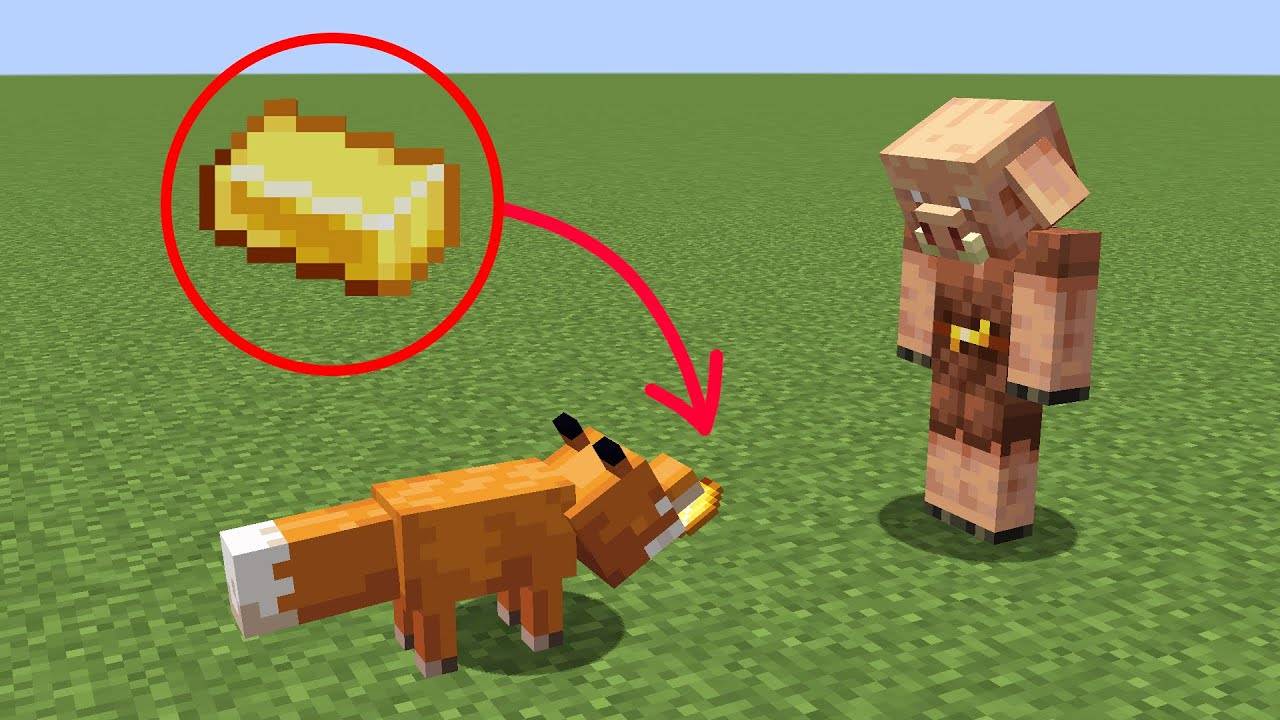 возьмет ли пиглин золото у лисы