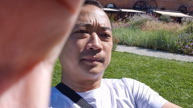 Новая Голландия