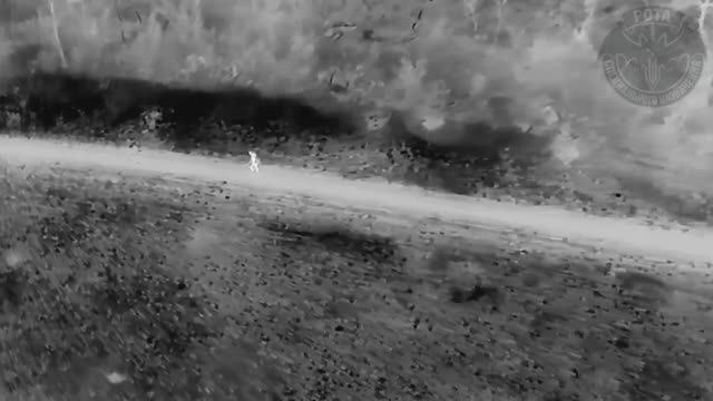 Убежать не получилось.