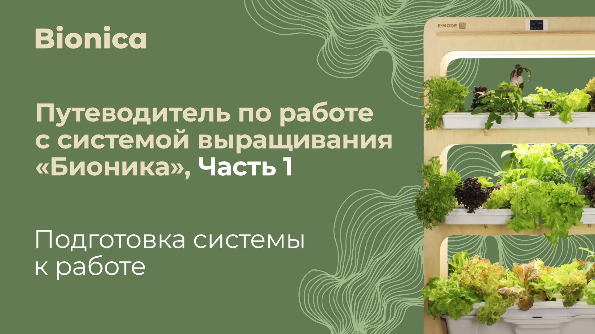 Выращиваем с «Бионикой»: подготовка системы к работе. Часть 1