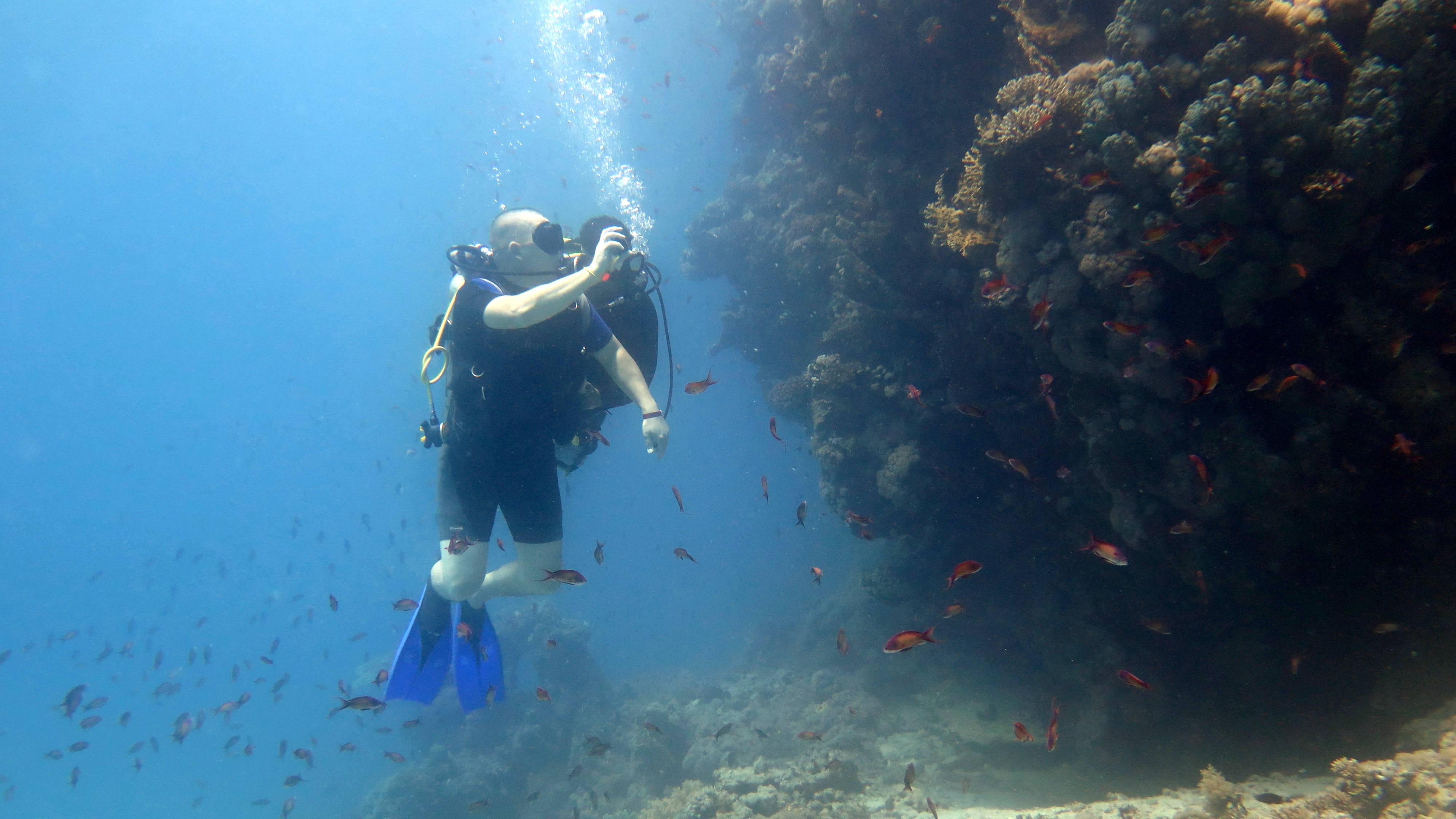 ЕГИПЕТ 2023 фото Grand Oasis Resort Sharm el Sheikh