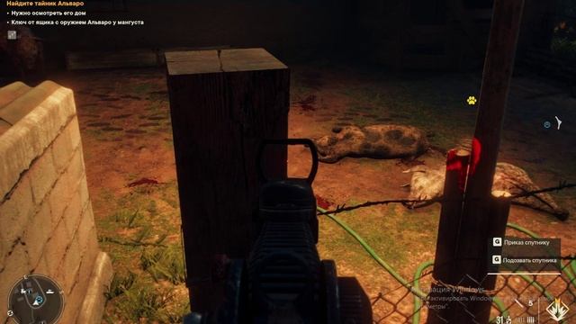 Тайник "Человек и Мангуст"