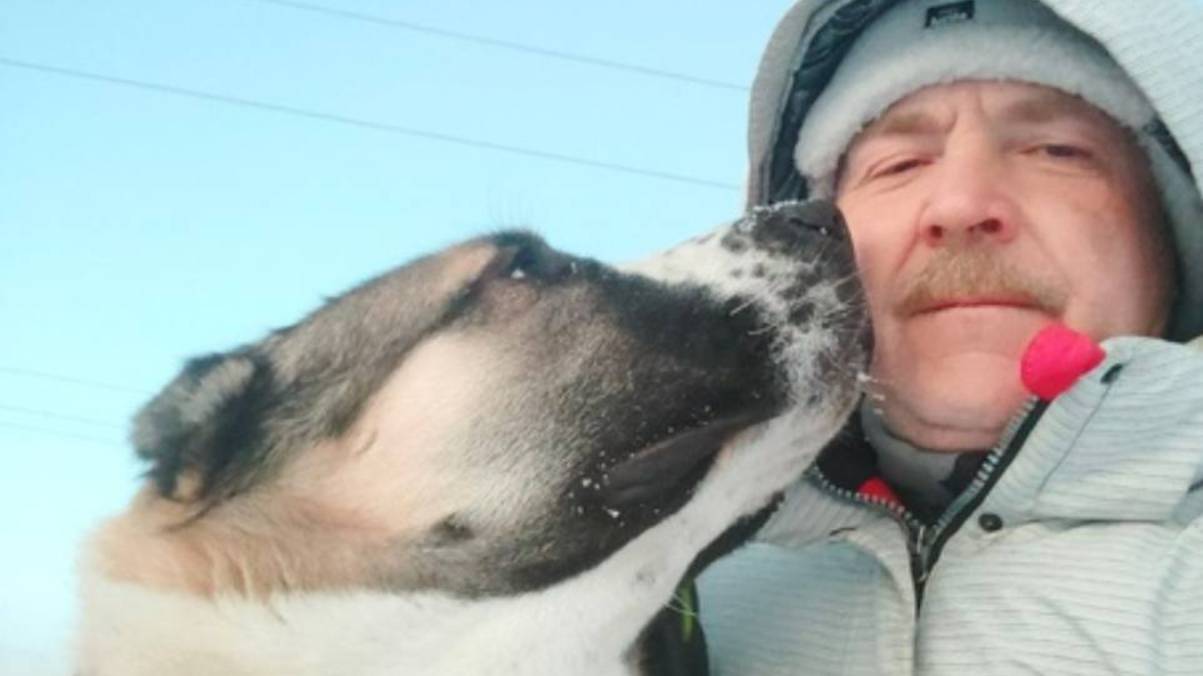 Отзыв из Подмосковья. Алабай укусил сына. Отказы кинологов. Работа с КЦ Барс на расстоянии