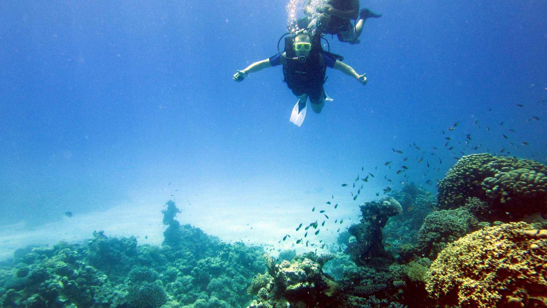 Jaz Mirabel beach шарм-эль-шейх 2018 4 часть