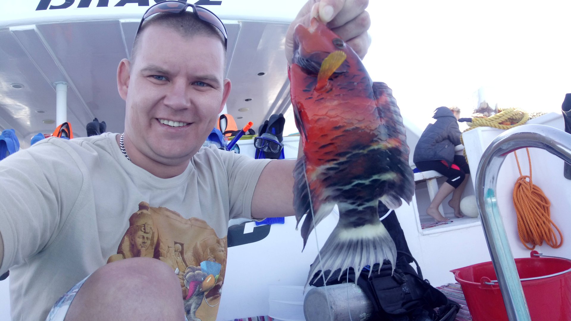 альбатрос роял модерна фото 2017