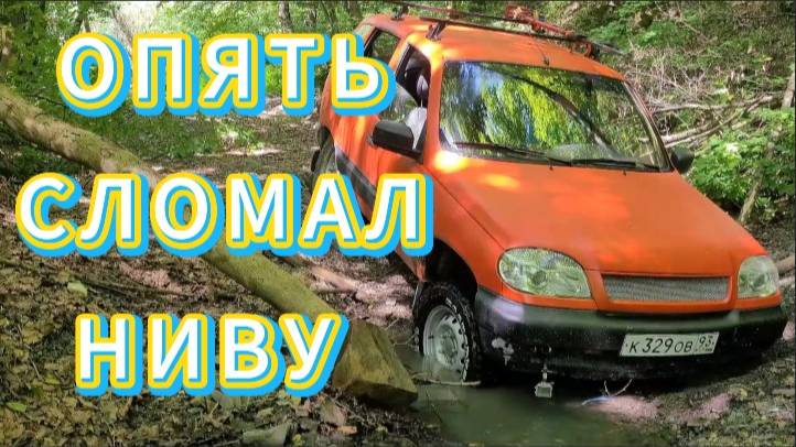 Снова сломал Ниву в лесу! Забыл лебедку, эвакуация джеком!