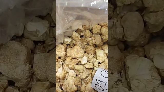 Ежовик гребенчатый оптом