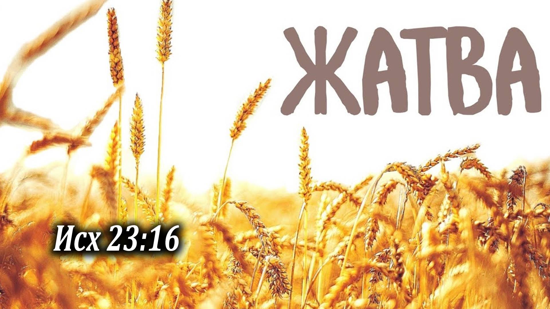 27.09.2020 "Жатва" Исх 23:16 Мицкевич Вальтер