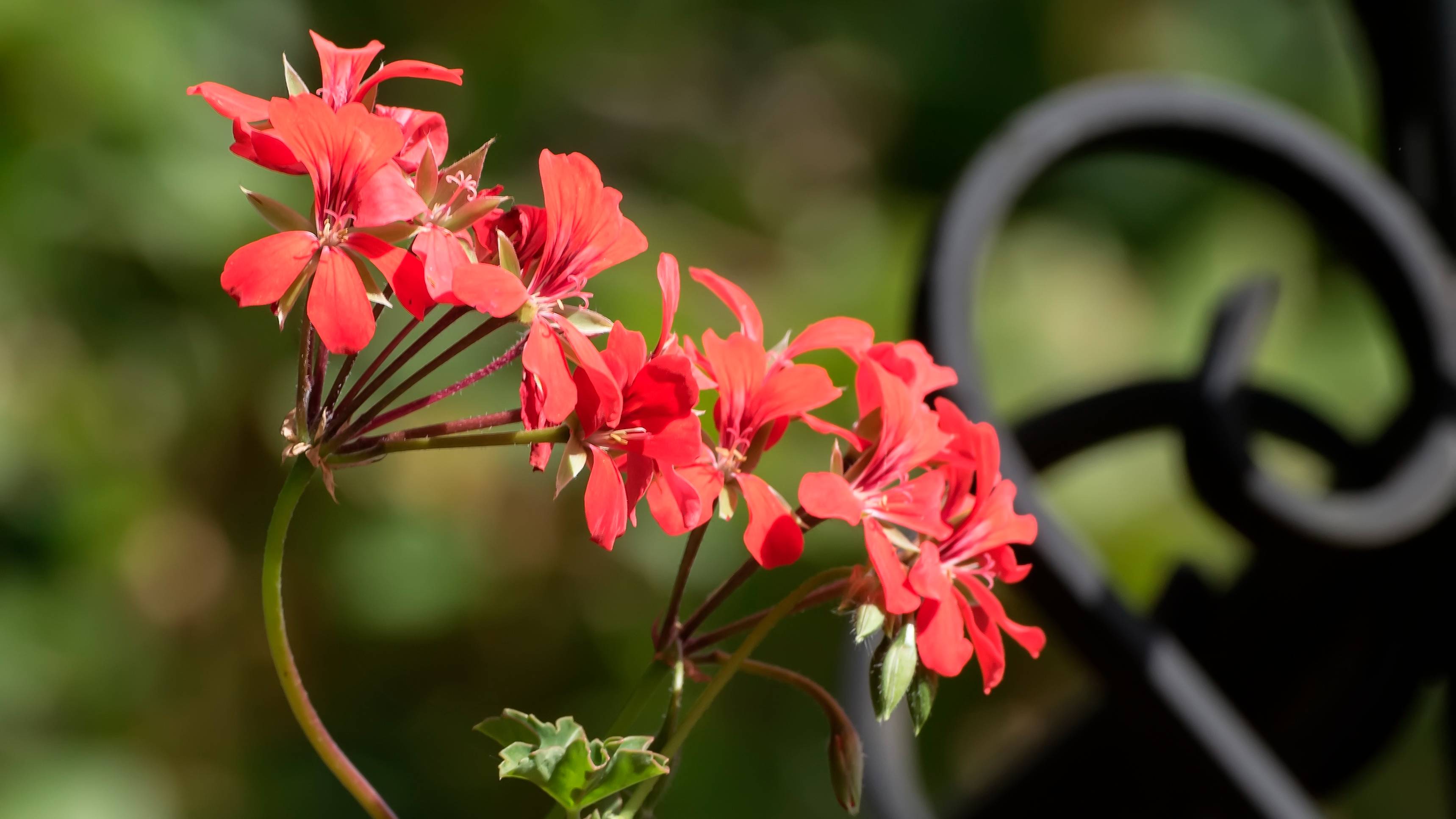 Лето и Пушкин