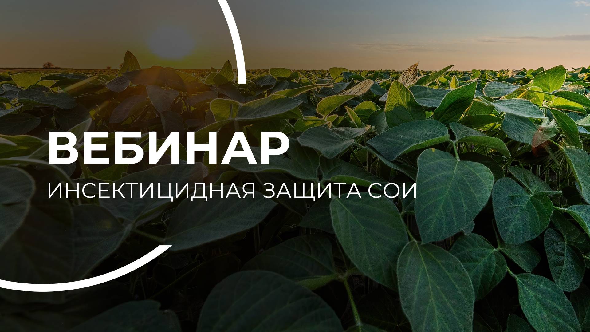 ВЕБИНАР по защите сои от вредителей