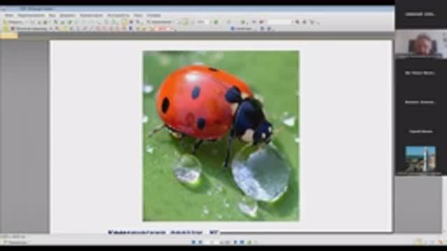 18.06.25 Великая Степь. Законодательство Степи. Программа ТРАВПРОМ. Битва Тимура и Тохтамыша. Едигей