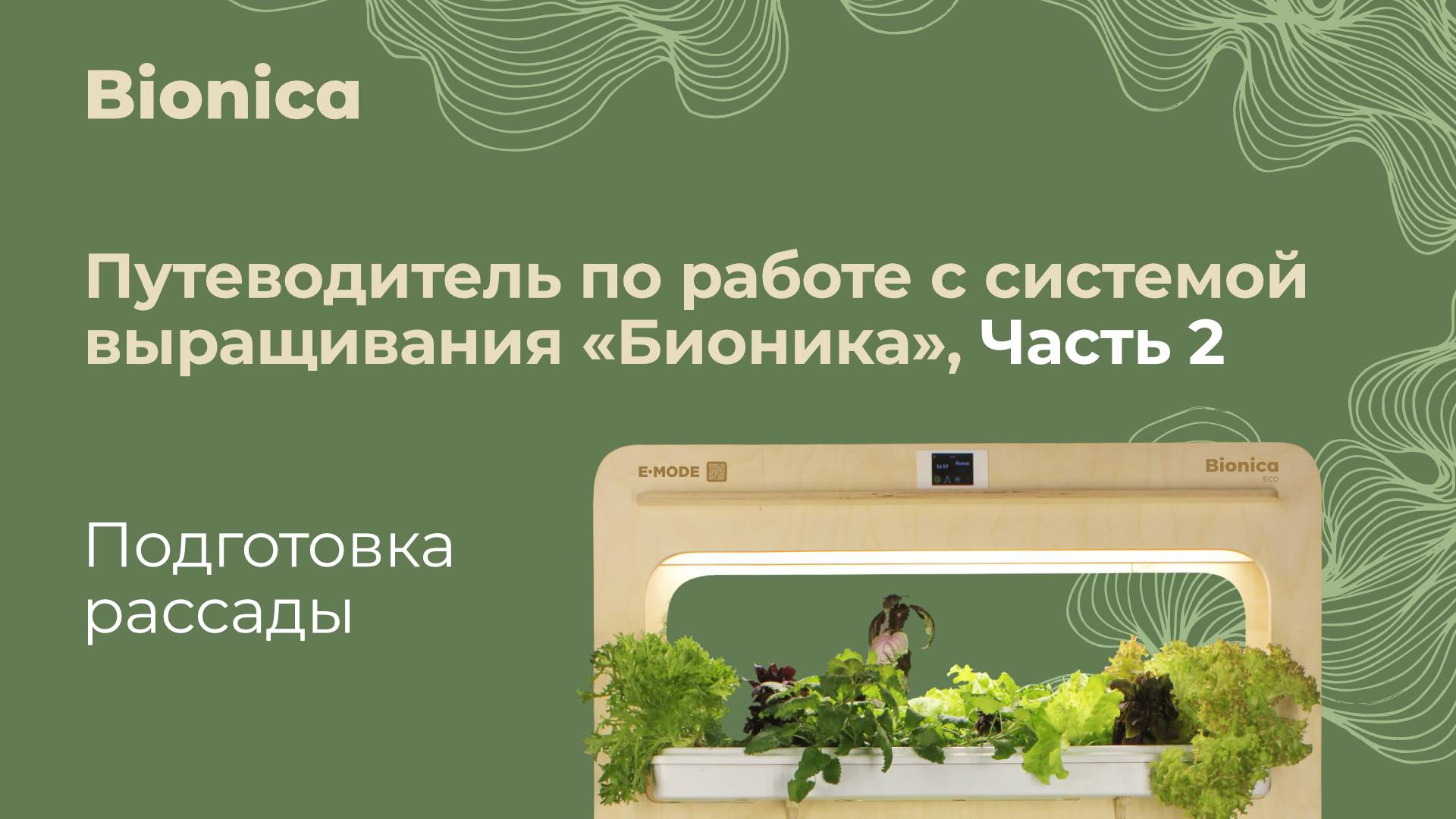 Выращиваем с «Бионикой»: подготовка рассады. Часть 2
